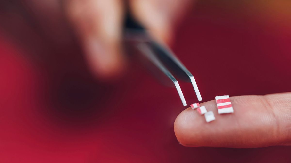 LSD vs Mushrooms: Comparing Psychedelics in Therapy | Technology Networks