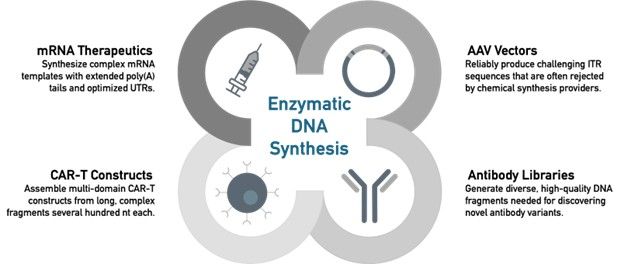 Enzymatic DNA Synthesis vs Chemical: What's Changing | Technology Networks