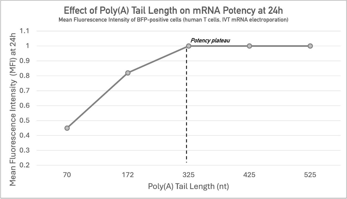 Enzymatic DNA Synthesis vs Chemical: What's Changing | Technology Networks