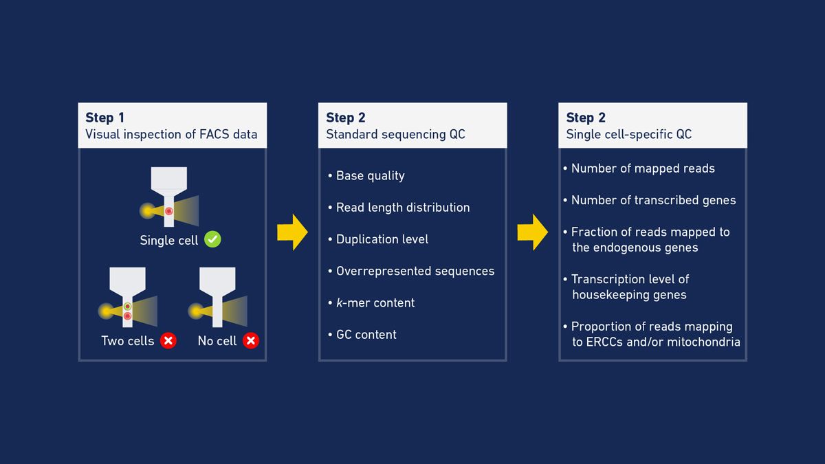 Single-Cell Sequencing: How It Works and Why It Matters | Technology ...
