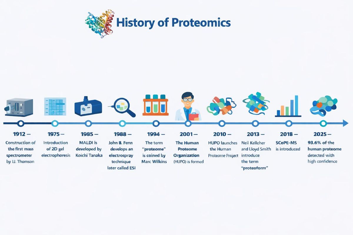 The History of Proteomics: Key Milestones and Innovations | Technology ...