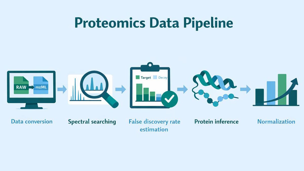 Proteomics Data Pipelines: Raw Spectra to Biological Insight ...