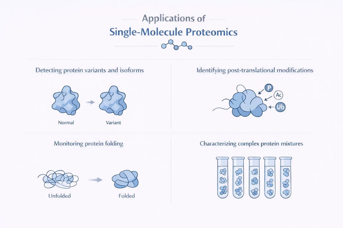 Nanopore Protein Analysis in Single-Molecule Proteomics | Technology ...