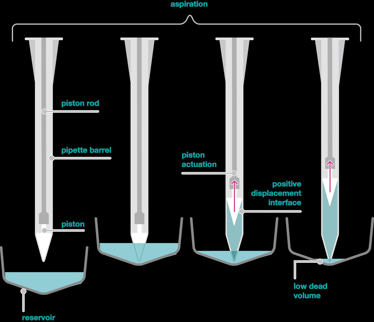Precision Automation Transforms Complex Drug Screening | Technology ...
