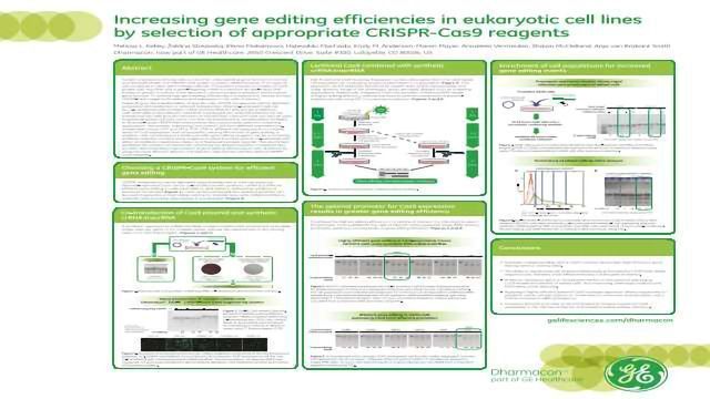 Increasing Gene Editing Efficiencies in Eukaryotic Cell Lines by ...