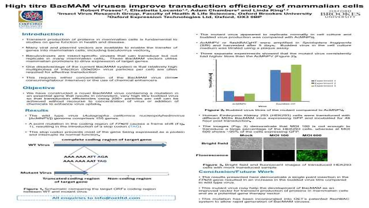 High Titre BacMam viruses improve transduction efficiency of mammalian ...