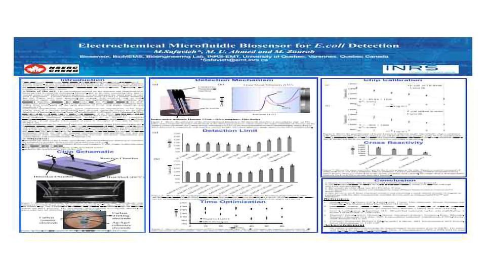 Electrochemical Microfluidic Biosensor for E.coli Detection Poster ...