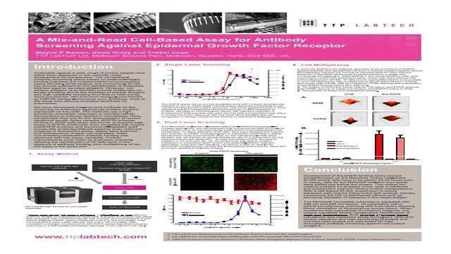A Mix-and-Read Cell-Based Assay for Antibody Screening Against ...