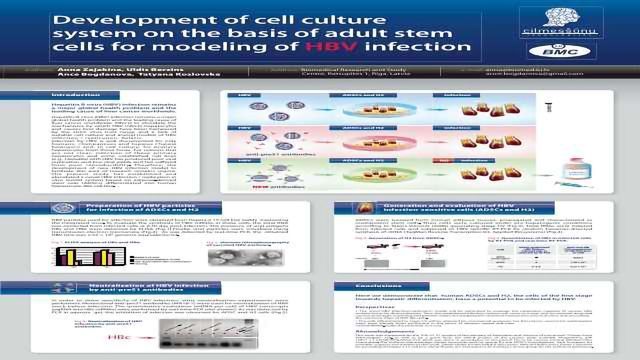 Development of cell culture system on the basis of adult stem cells for ...