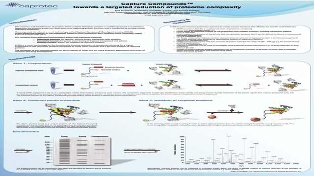 Capture Compounds Towards A Targeted Reduction Of Proteome Complexity