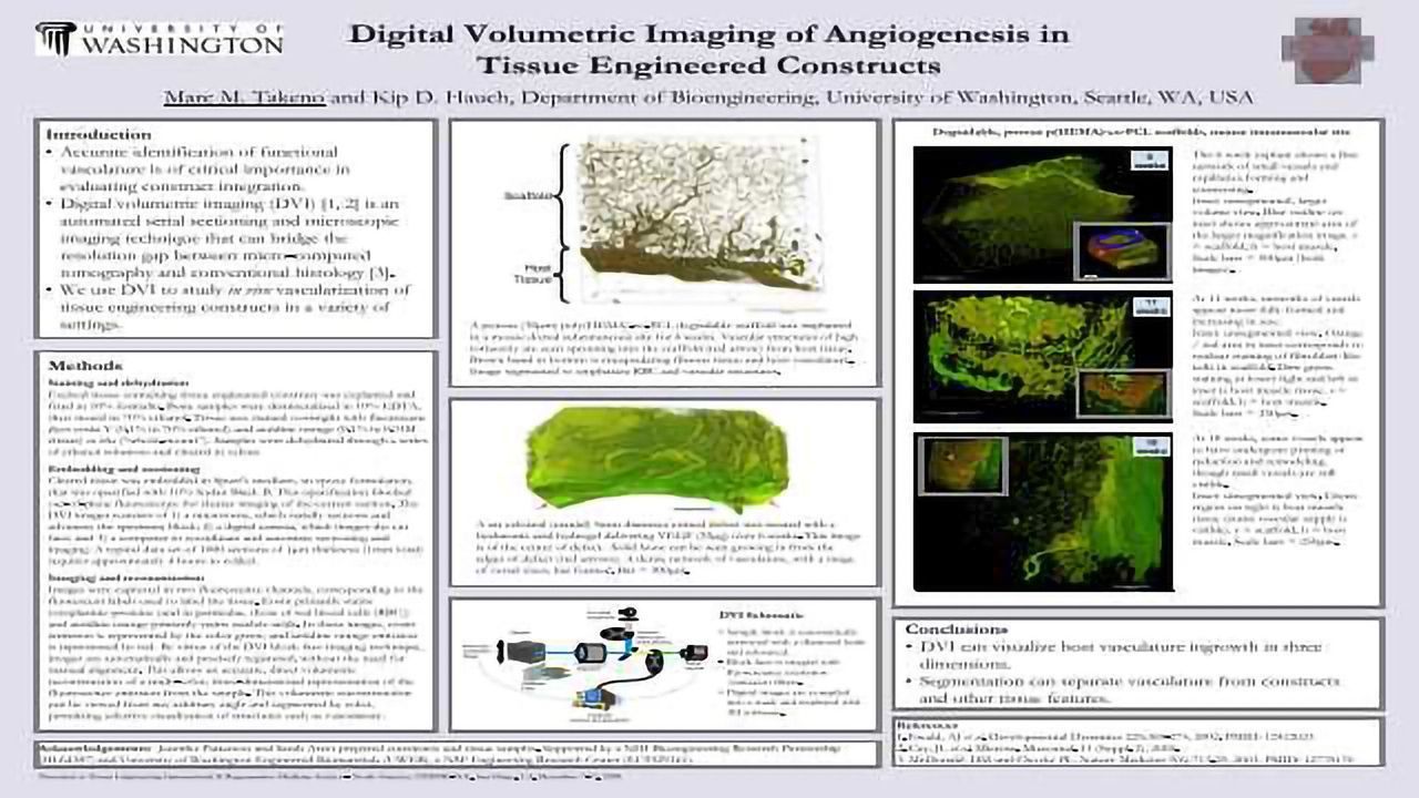 Digital Volumetric Imaging of Angiogenesis in Tissue Engineered ...