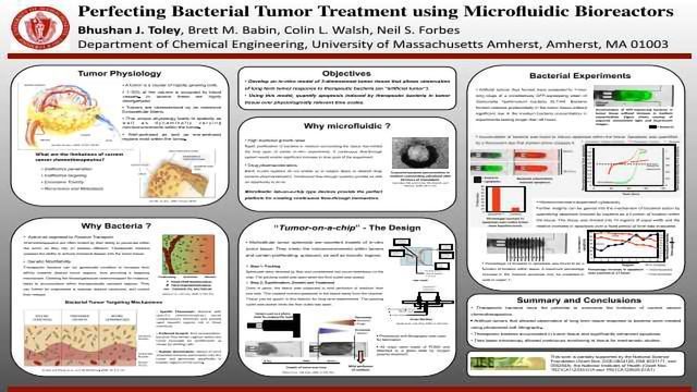 Perfecting Bacterial Tumor Treatment using Microfluidic Bioreactors ...