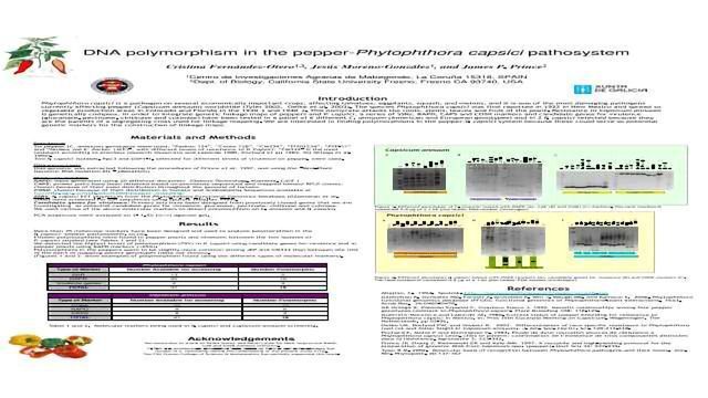 DNA polymorphism in the pepper-Phytophthora capsici pathosystem Poster ...
