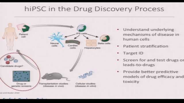 Utilizing hiPSC-Derived Neurons and Cardiomyocytes For Drug Screening ...