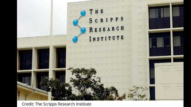 Pfizer, Scripps Partner on DNA-Encoded Library Tech | Technology Networks