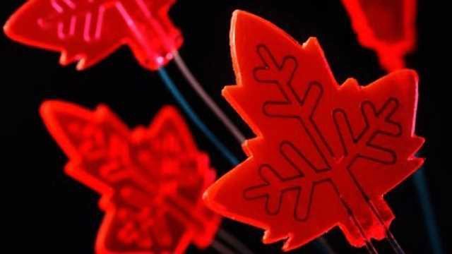 Leaf-Inspired Continuous-Flow Photochemistry | Technology Networks