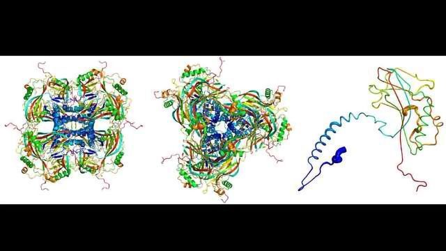Scientists Analyse Smallest Ever Protein Crystals | Technology Networks