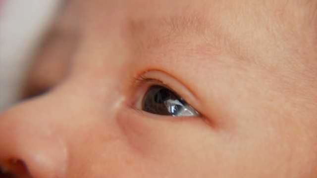 Even at infancy, humans can visually identify objects that stand out ...