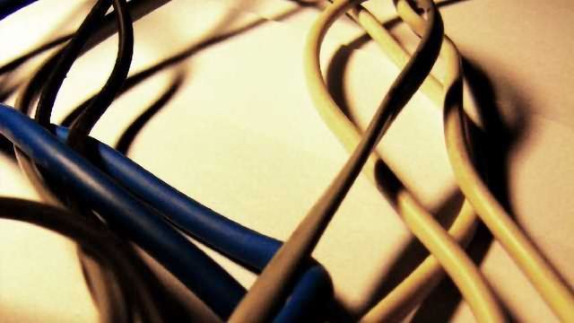 Mechanism explains complex brain wiring | Technology Networks