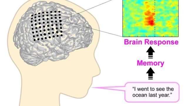 Finding thoughts in speech: How the human brain processes thoughts ...