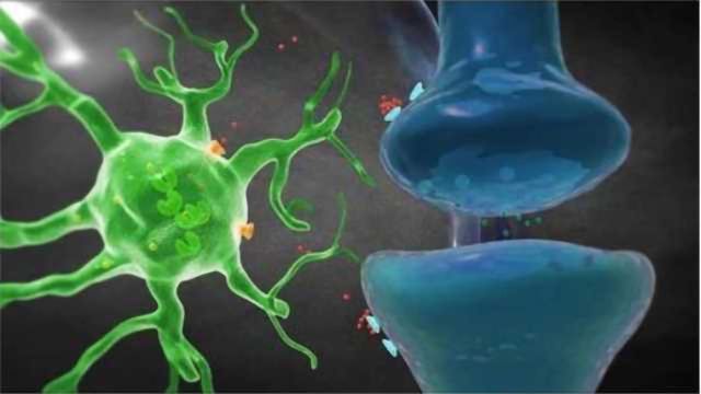 Discovery of New Drug Targets for Memory Impairment in Alzheimer's ...