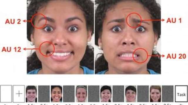 Researchers pinpoint part of the brain that recognizes facial ...