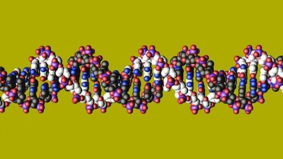 Researchers identify genes linked to the effects of mood and stress on ...