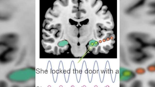 Brain’s hippocampus helps fill in the blanks of language | Technology ...