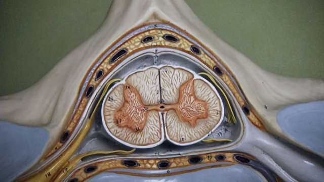 High-frequency spinal cord stimulation provides better results in ...