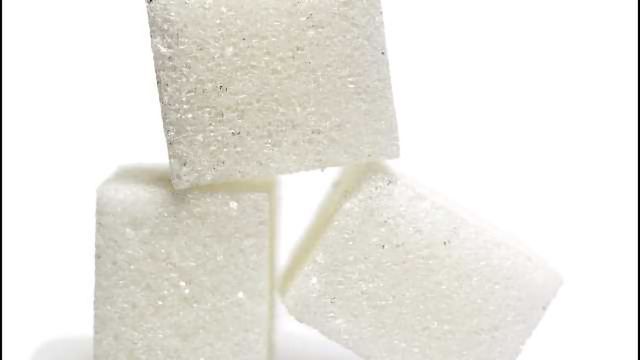 Sugar Rots Your Brain | Technology Networks