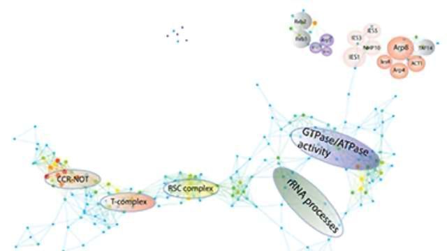 Topological Network Modules in Protein Interactions | Technology Networks