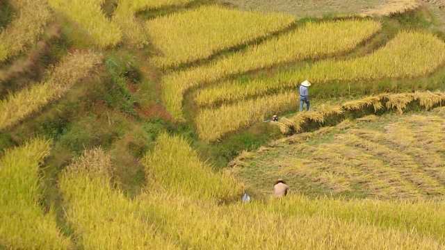 Maintaining Food Security During Drought | Technology Networks