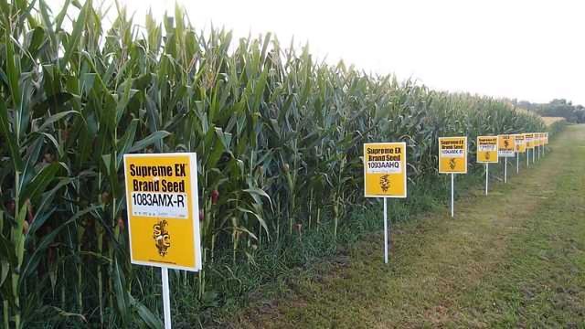 10 Most BIZARRE Genetically Modified Plants EVER | Technology Networks