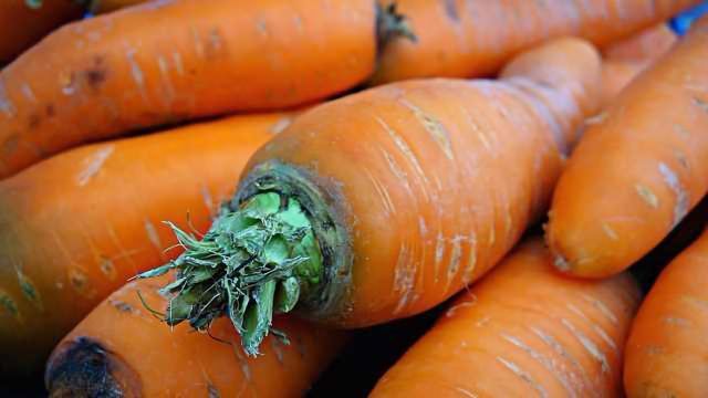 Analysing Foods for Radioactive Substances | Technology Networks