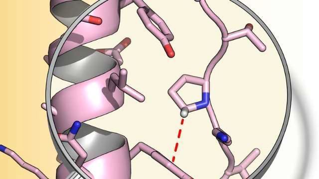 Engineering Protein Stability with Atomic Precision | Technology Networks