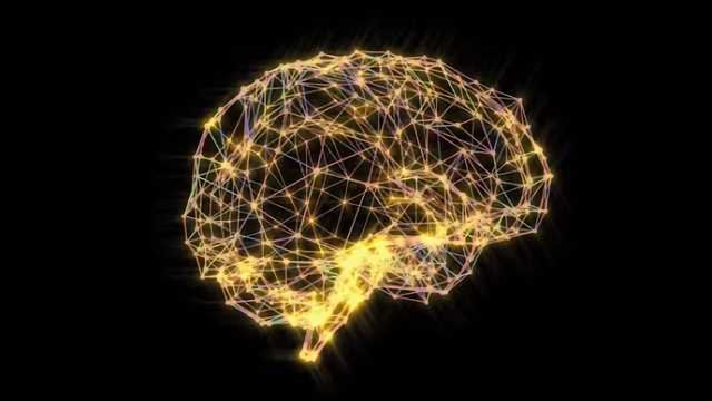 Connectomics Explained by a Neuroscientist in 5 Levels of Complexity ...