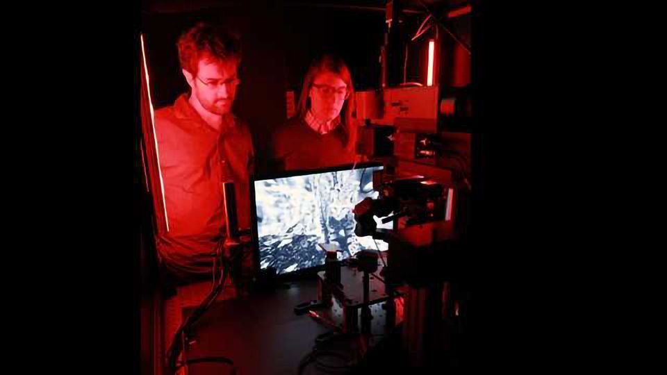 New Data And Analysis Tools Released For Allen Brain Observatory New Data And Analysis Tools Released For Allen Brain Observatory