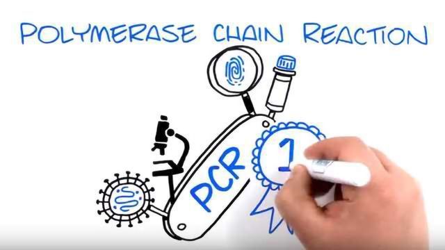 The Evolution of PCR | Technology Networks