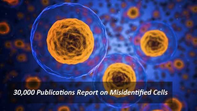 Some 30,000 Biomedical Publications Report on Misidentified Cells ...