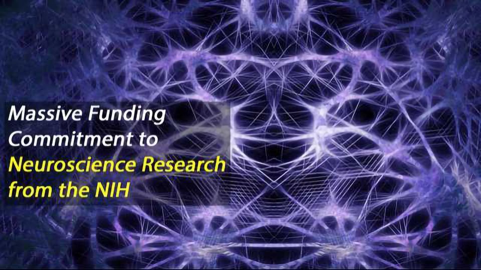 NIH BRAIN Initiative Builds on Early Advances | Technology Networks