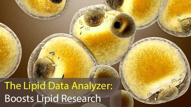 The Lipid Data Analyzer: Deciphering Lipid Structure | Technology Networks