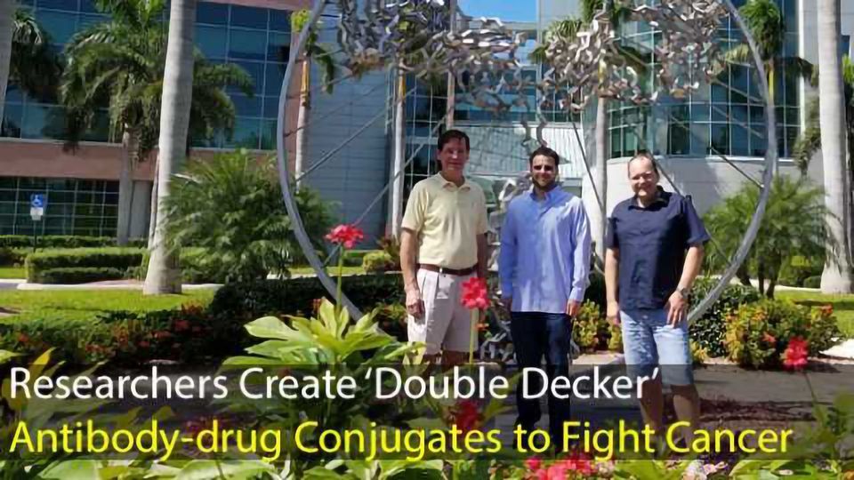 New ‘Double Decker’ Antibody-drug Conjugates Fight Cancer | Technology ...
