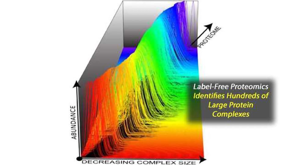 Method Developed to Identify Thousands of Protein Complexes and Their ...