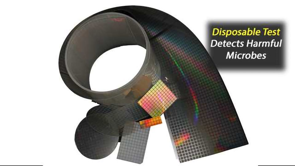 Disposable Optical Test Substrate for Detecting Harmful Microbes ...