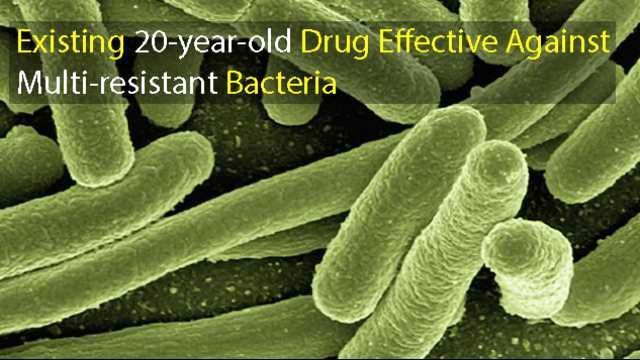 Existing 20-year-old Multiple Sclerosis Drug Effective Against Multi ...