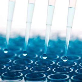 Exiqon LNA™ microRNA qPCR – Liquid Biopsies Revealed | Technology Networks