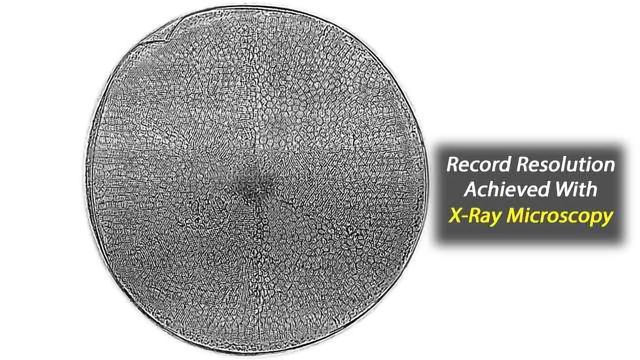 Novel Lenses Enable X-ray Microscopy with Record Resolution ...
