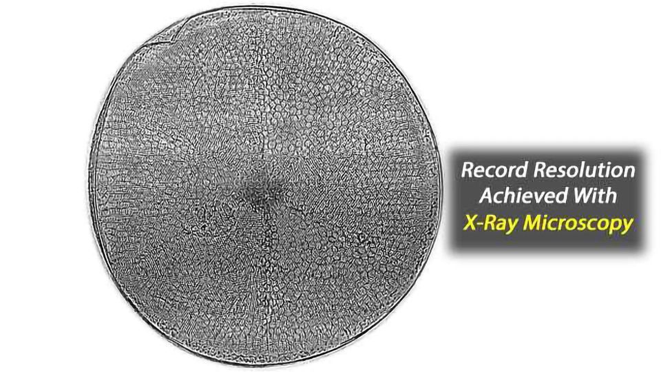 Novel Lenses Enable X-ray Microscopy with Record Resolution | Technology Networks