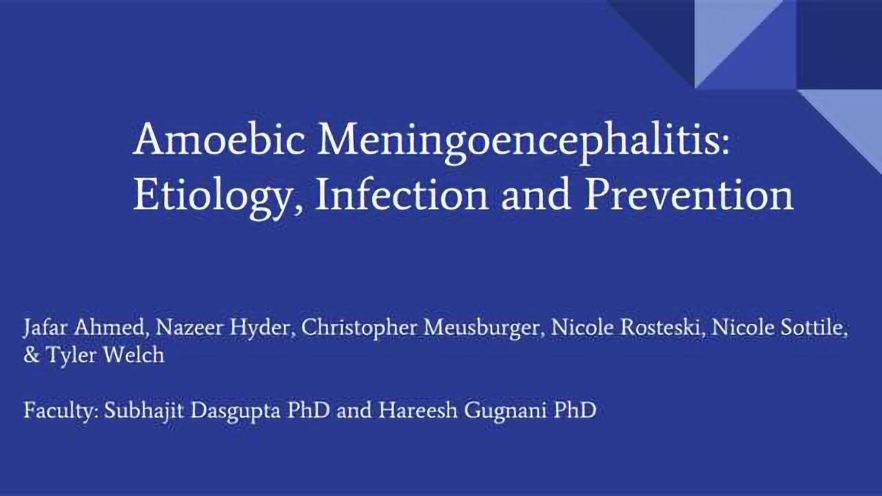 Amoebic Meningoencephalitis: Etiology, Infection and Prevention Poster ...
