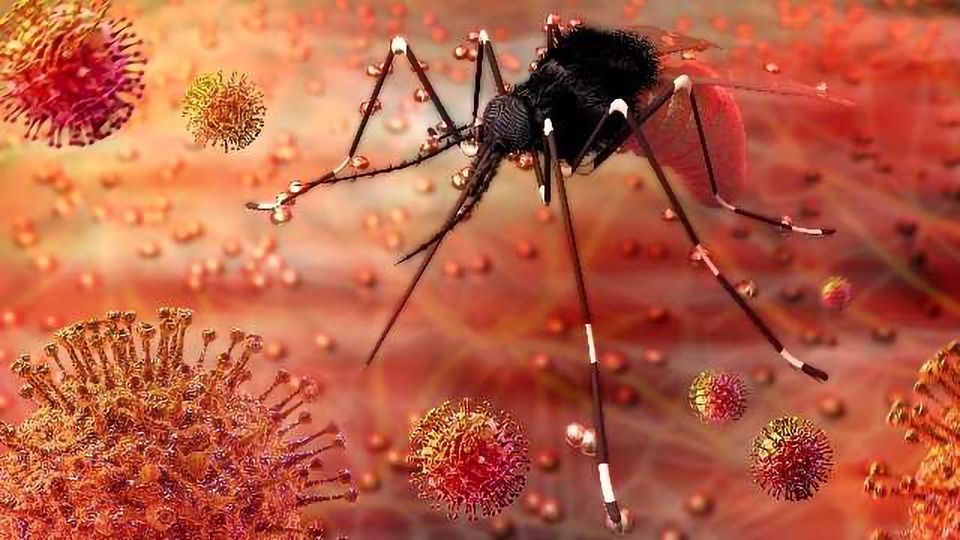 Children With Congenital Zika Virus Infection Face Serious Challenges ...